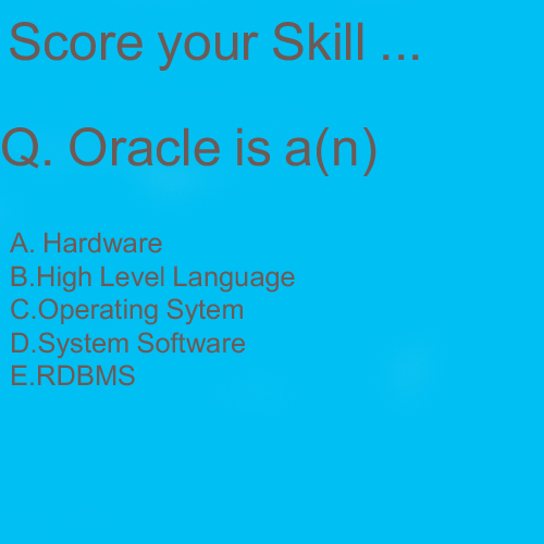 SBI PO Computer Knowledge Test 4